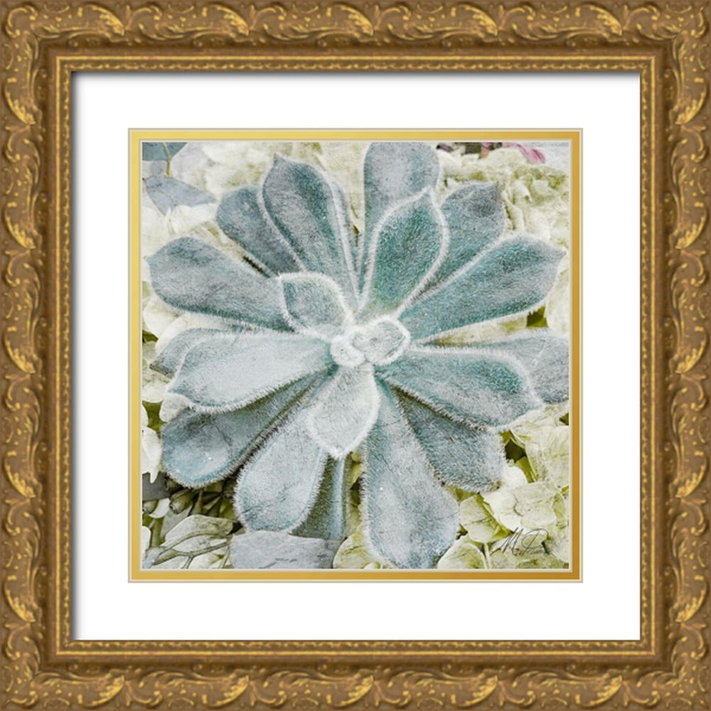 Prime, Marcus 20x20 Gold Ornate Wood Framed with Double Matting Museum ...