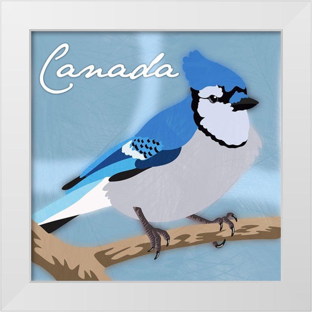 Prime, Marcus 20x20 White Modern Wood Framed Museum Art Print Titled - Canada Blue Jay - Walmart.com