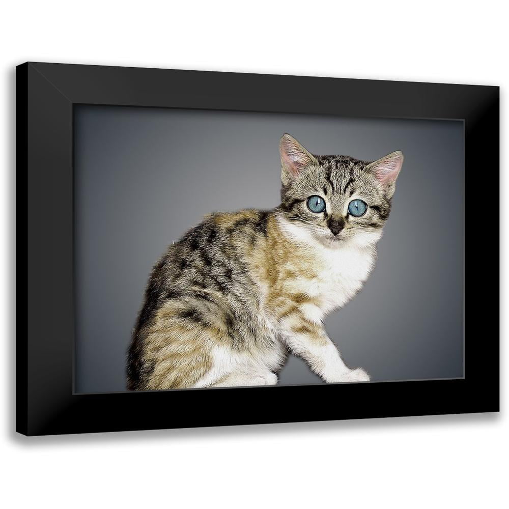 Prime, Marcus 24x19 Black Modern Framed Museum Art Print Titled ...