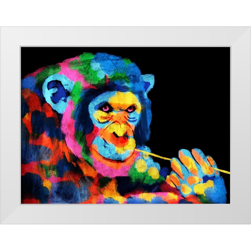 Prime, Marcus 24x19 White Modern Wood Framed Museum Art Print Titled ...