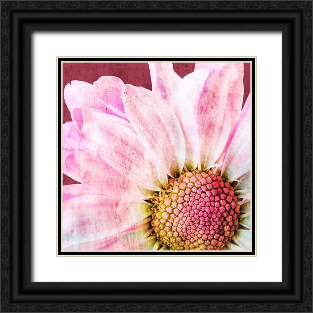 Prime, Marcus 26x26 Black Ornate Wood Framed with Double Matting Museum ...