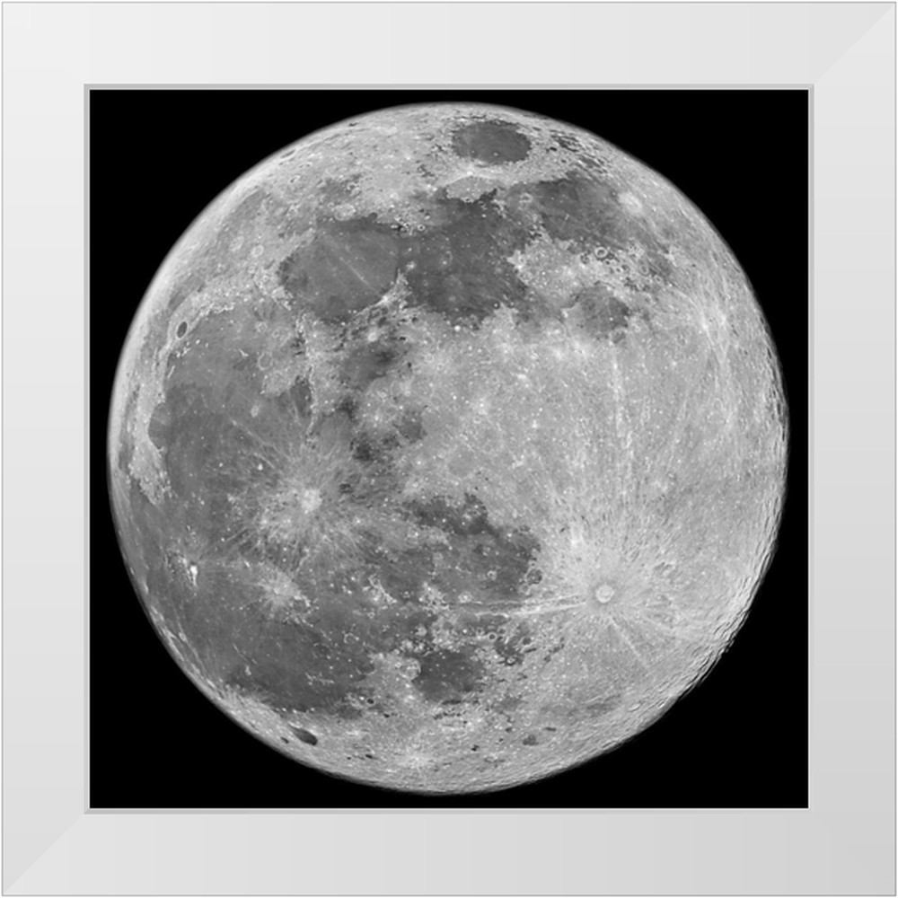 Prime, Marcus 26x26 White Modern Wood Framed Museum Art Print Titled ...