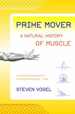 Prime Movers Muscles