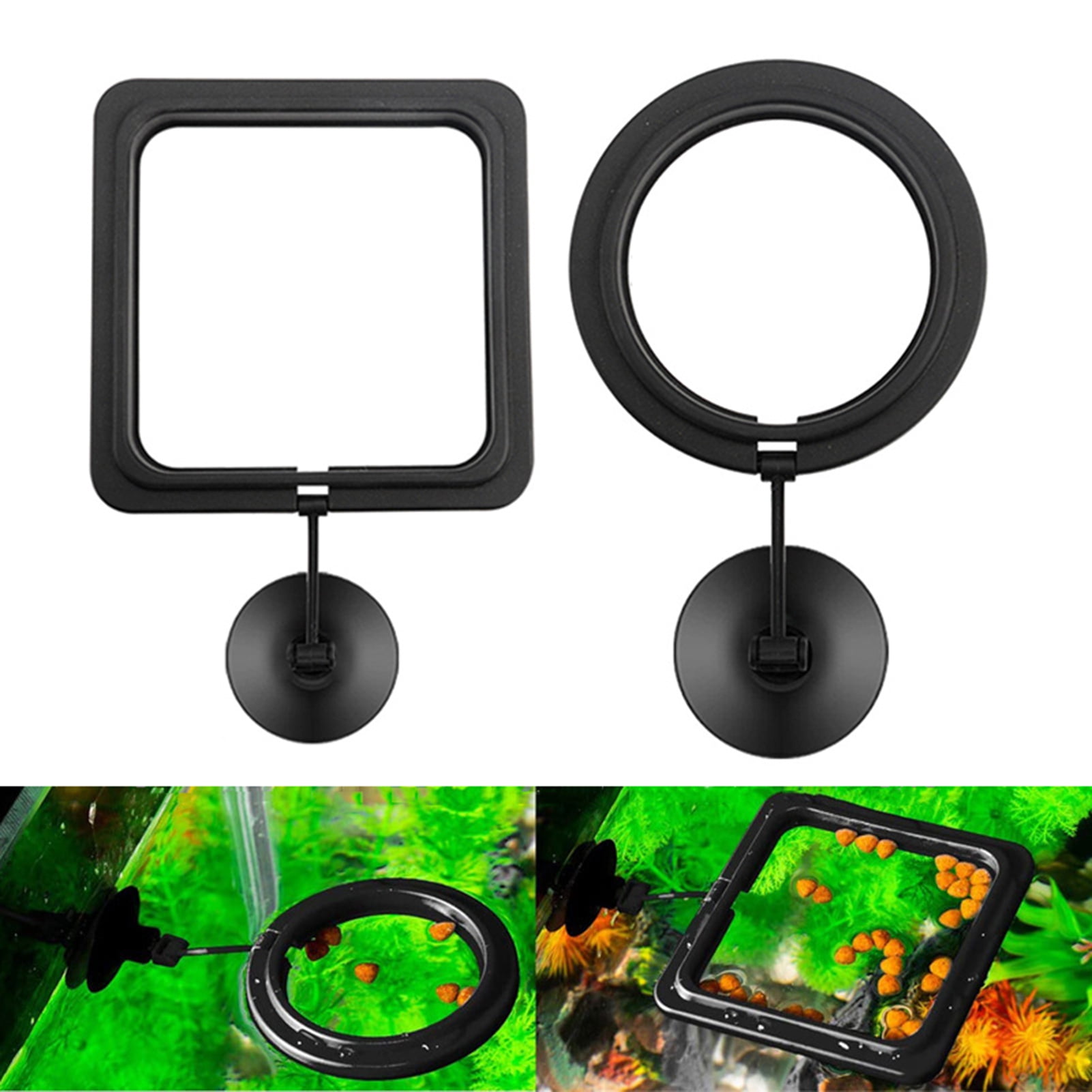 Primegos 2 Pcs Fish Feeder Ring, Fixed Feeding Area Food Tray ...