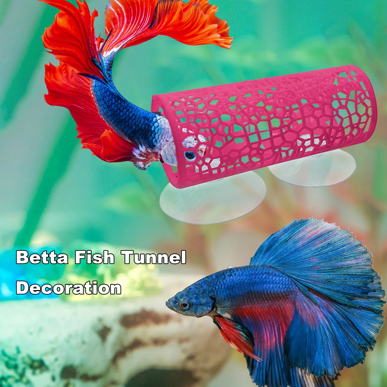 Primegos 2 Pcs Betta Fish Tunnel Toy Hollow Design, Fish Betta ...