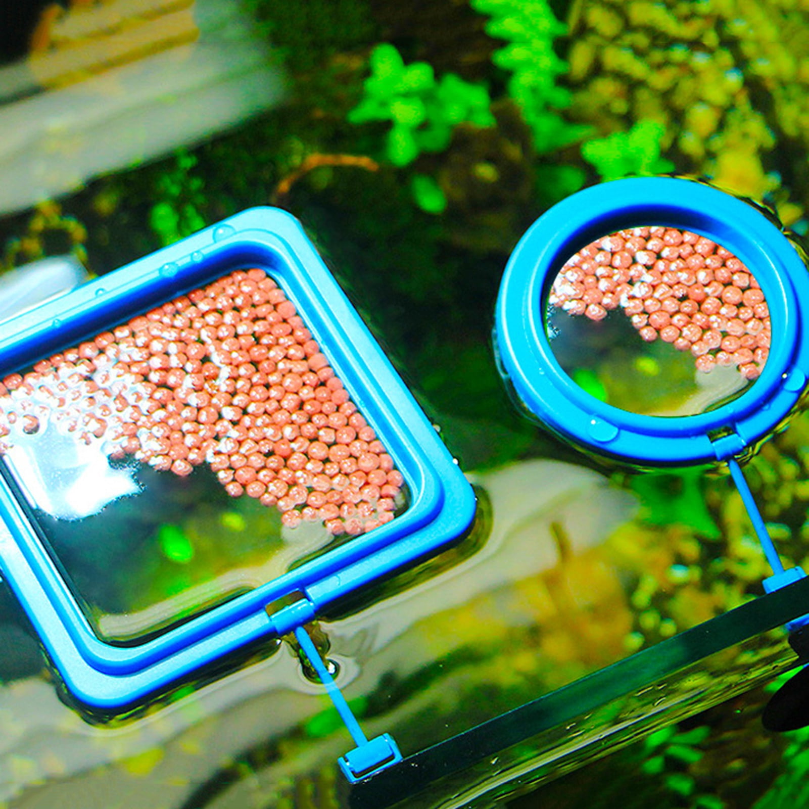 Primegos 4 Pcs Fish Feeder Ring, Fixed Feeding Area Food Tray ...