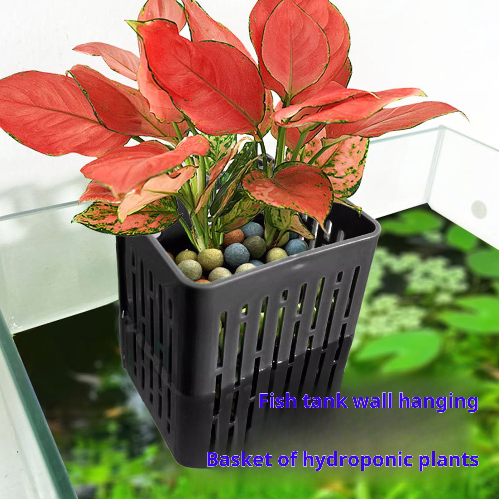 Primegos Aquarium Plant Holder Top Hanging Fish Tank Planter Pot with ...