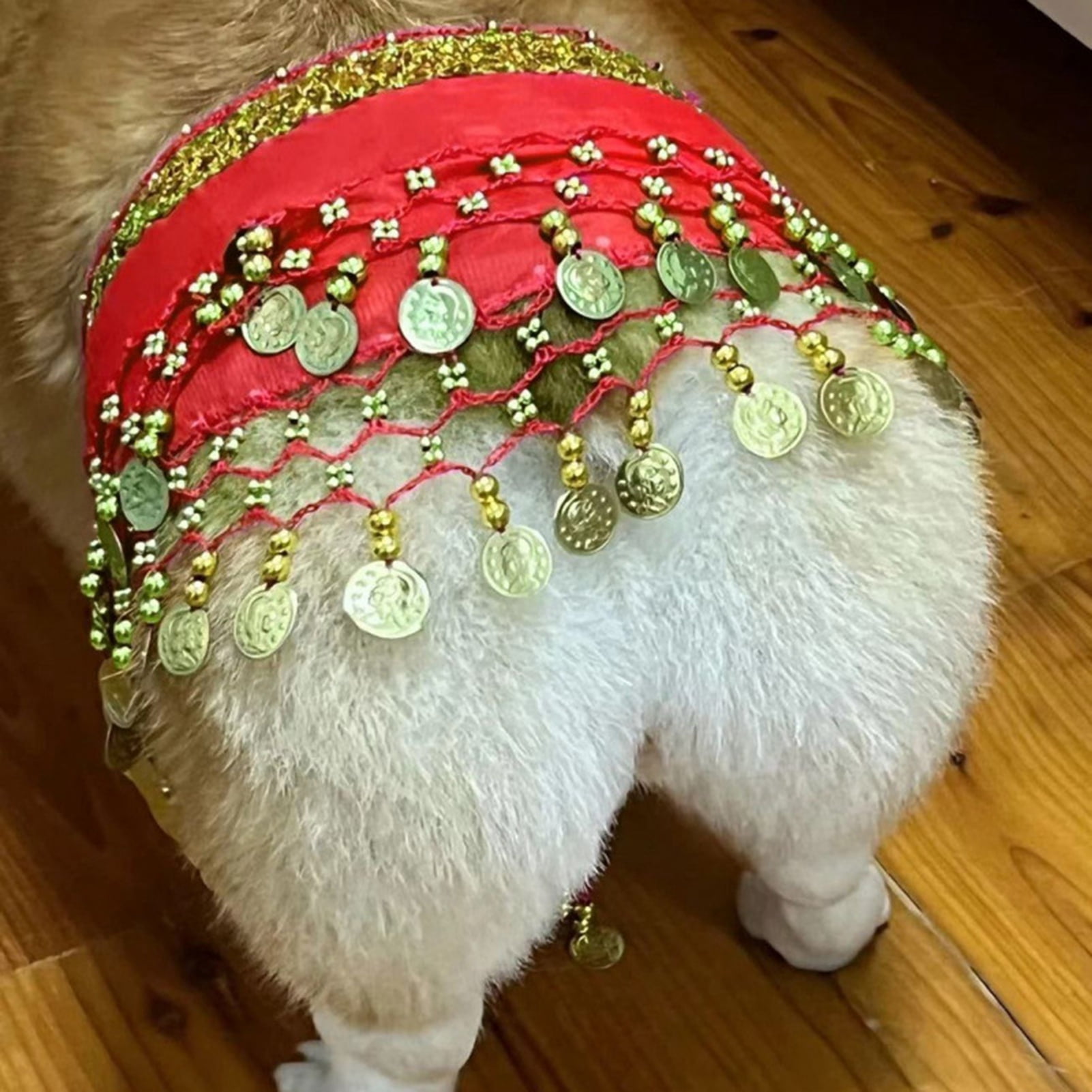 Primegos Dog Belly Dance Costume Corgi Dog Waist Chain Butt Curtain ...