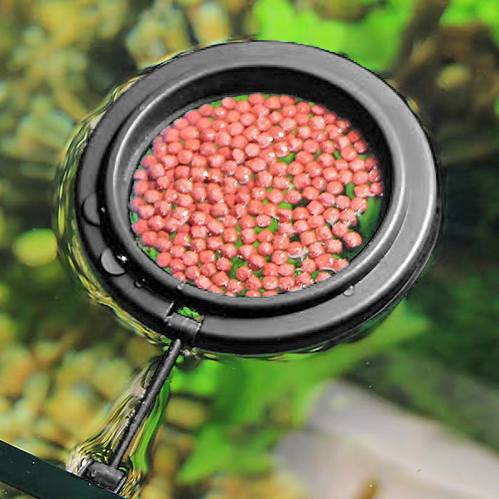 Primegos Fish Feeder Ring, Fixed Feeding Area Food Tray Suspension ...