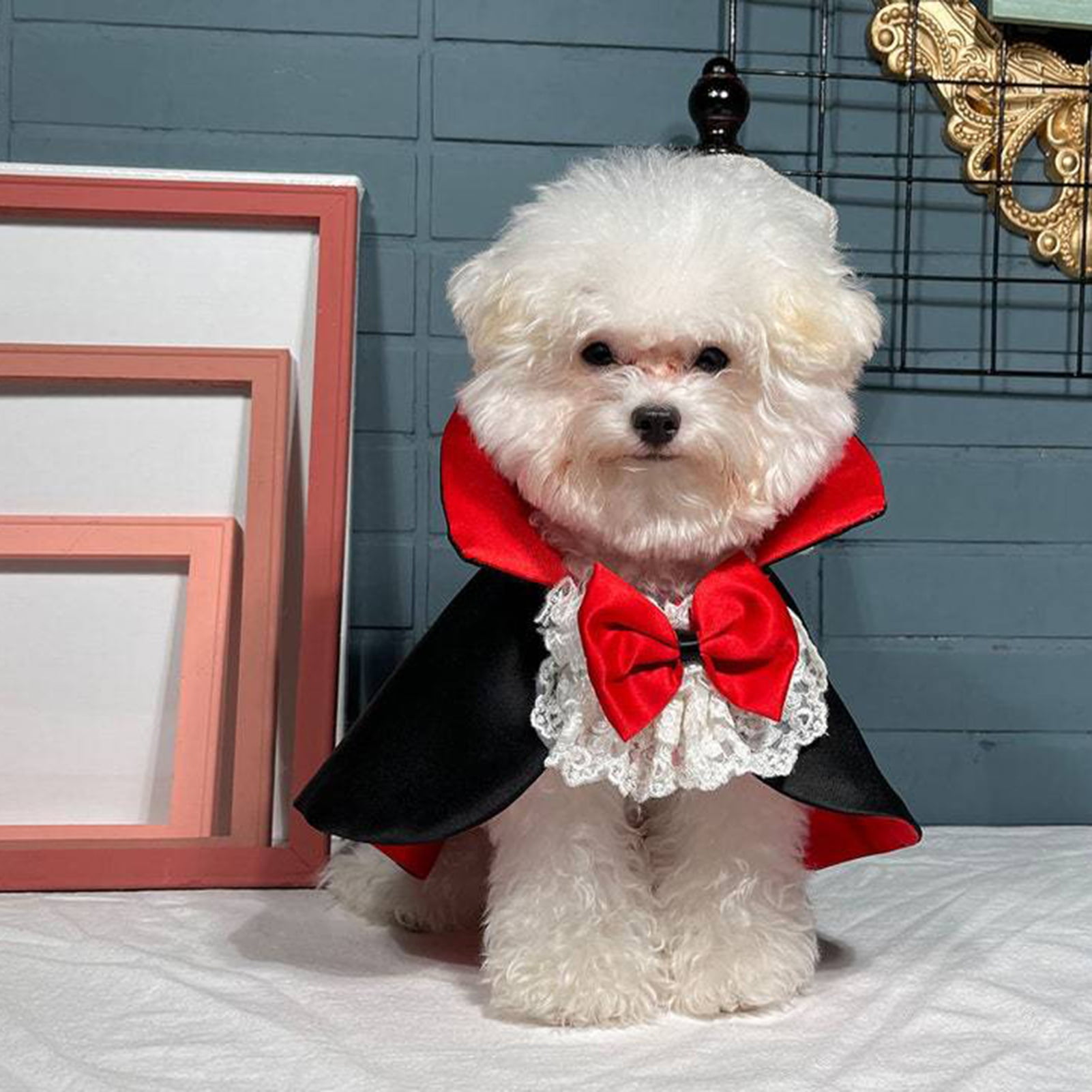 Primegos Pet Cloak Halloween Costume for Small Dogs Pet Dress-up ...