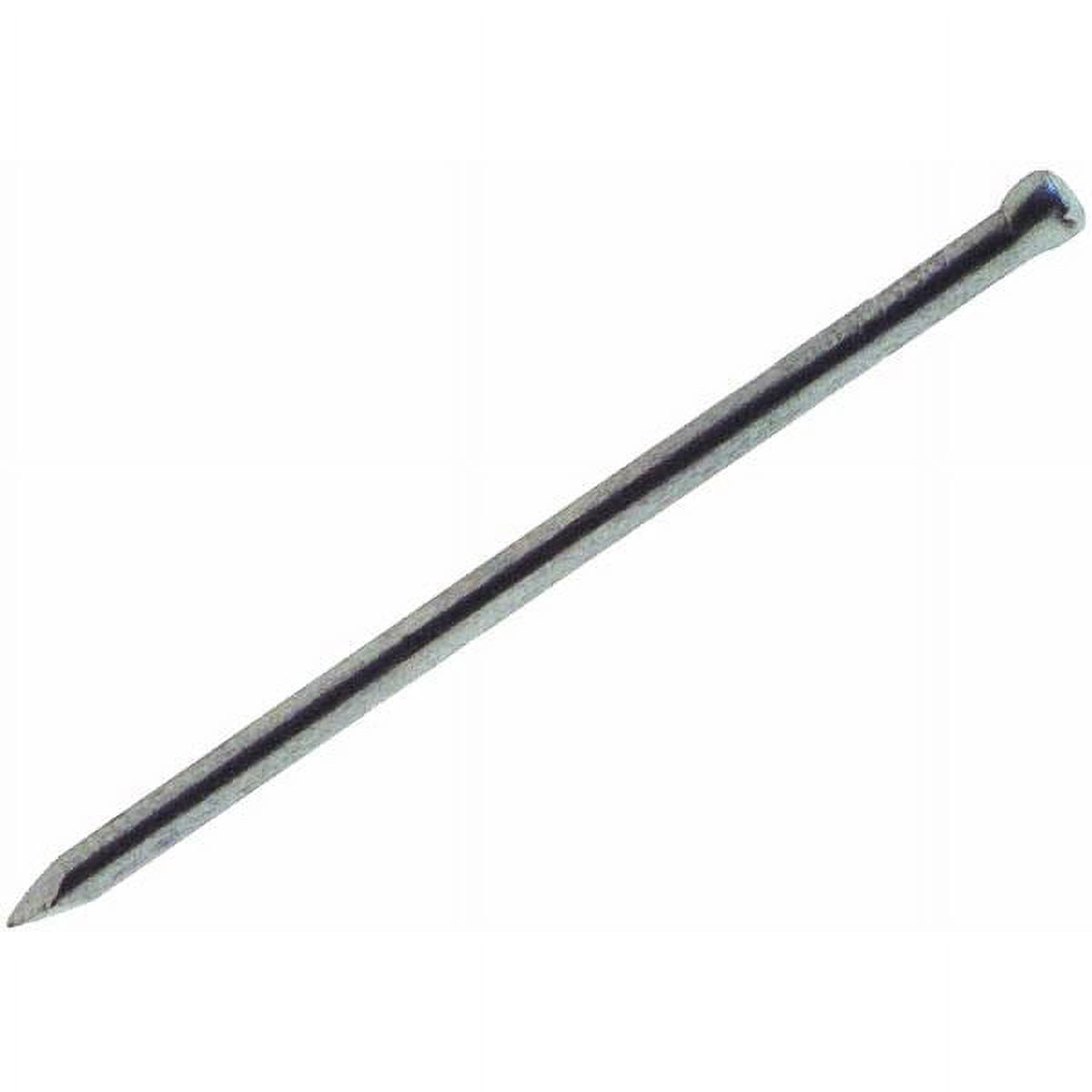 Primesource Do it Bright Finish Nail 12 Pack - Walmart.com