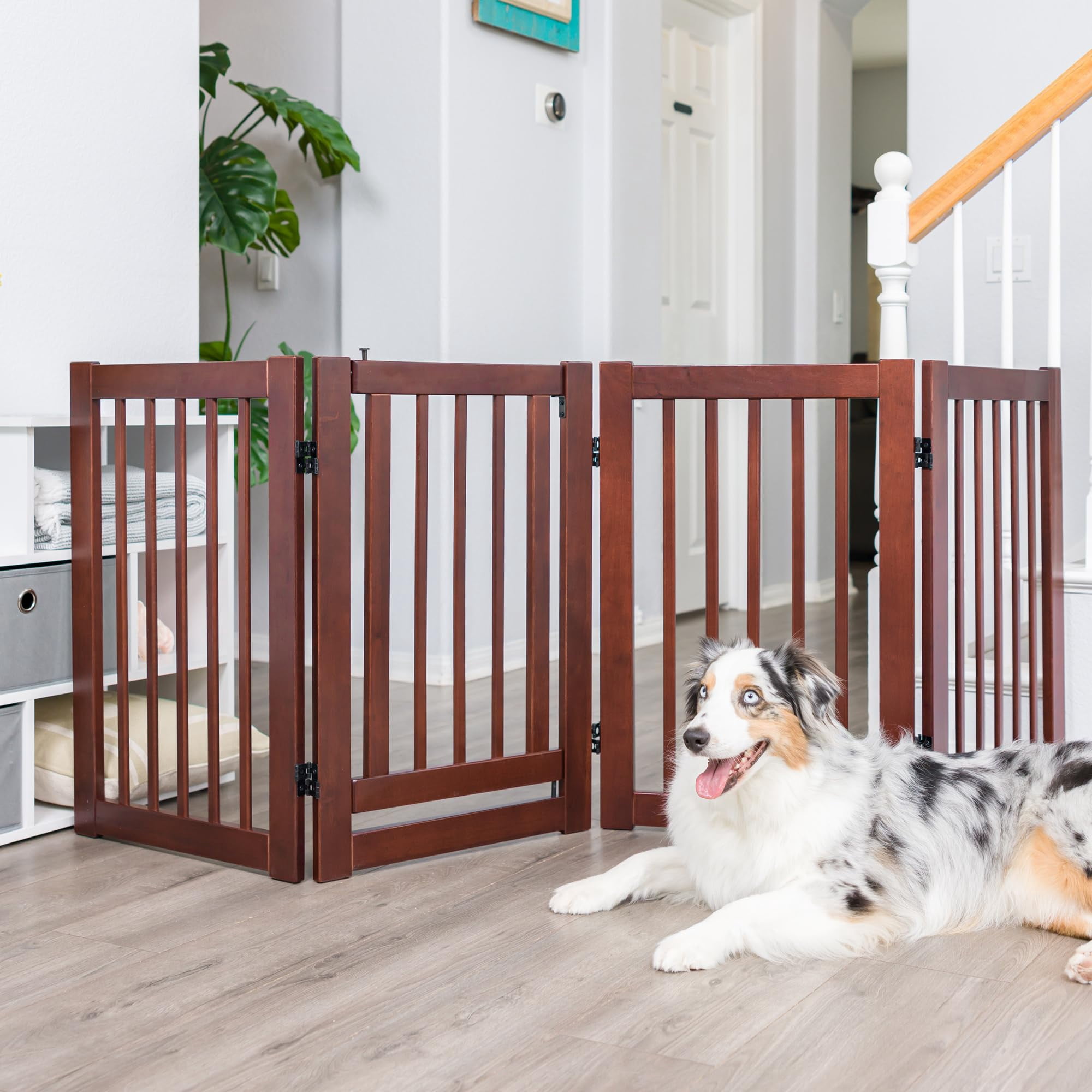 Primetime Petz 360 Configurable Dog Gate with Door - Indoor ...