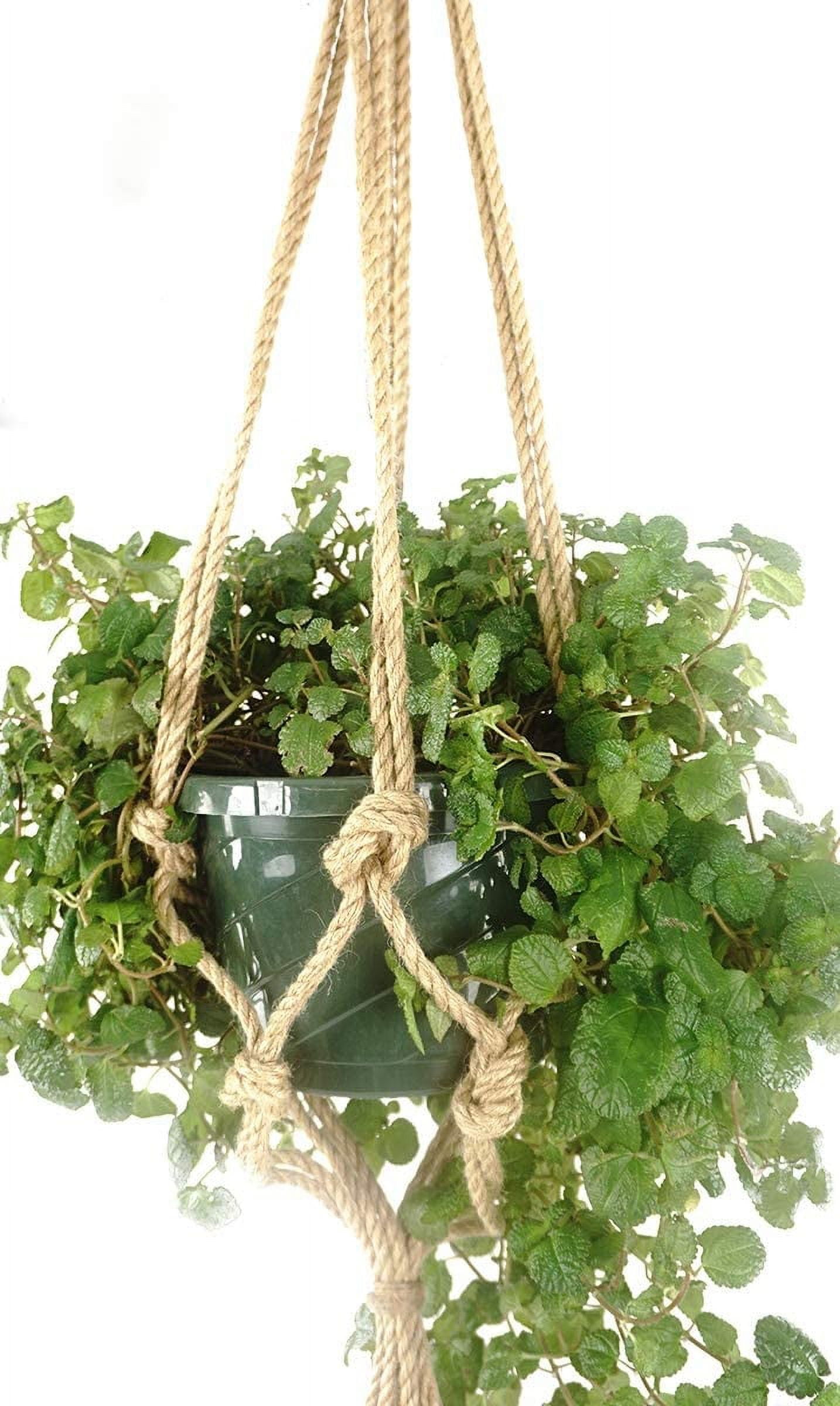 Primitive Planters Natural Knotted Rope Hanger for Hanging Baskets, 36 ...