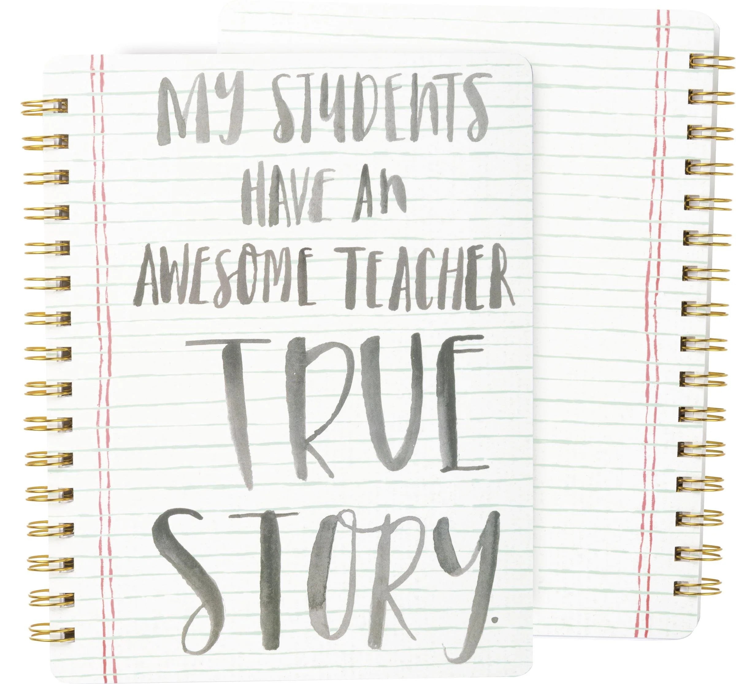 Primitives by Kathy - Awesome Teacher True Story - Spiral Notebook ...