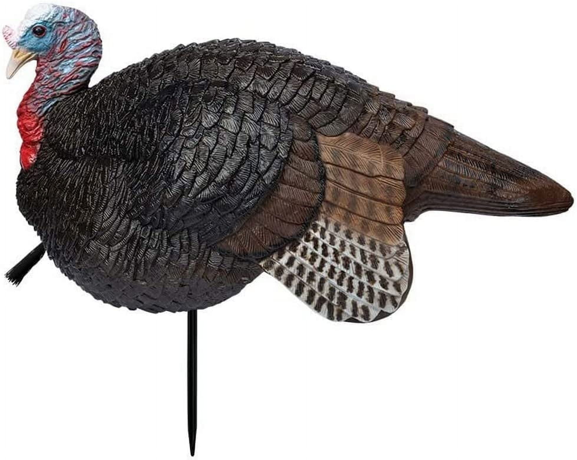Primos Hunting Lil Gobstopper Jake Turkey Decoy Light-Weight Hunting ...