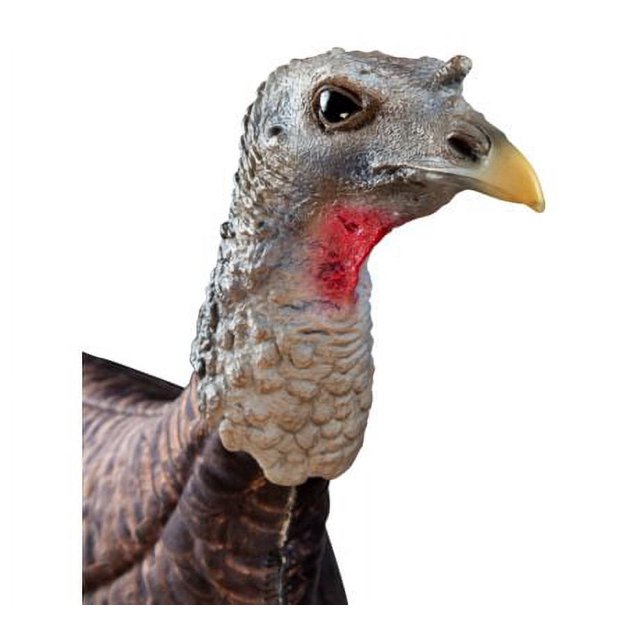 Primos Hunting Photoform Hen Decoys - Walmart.com