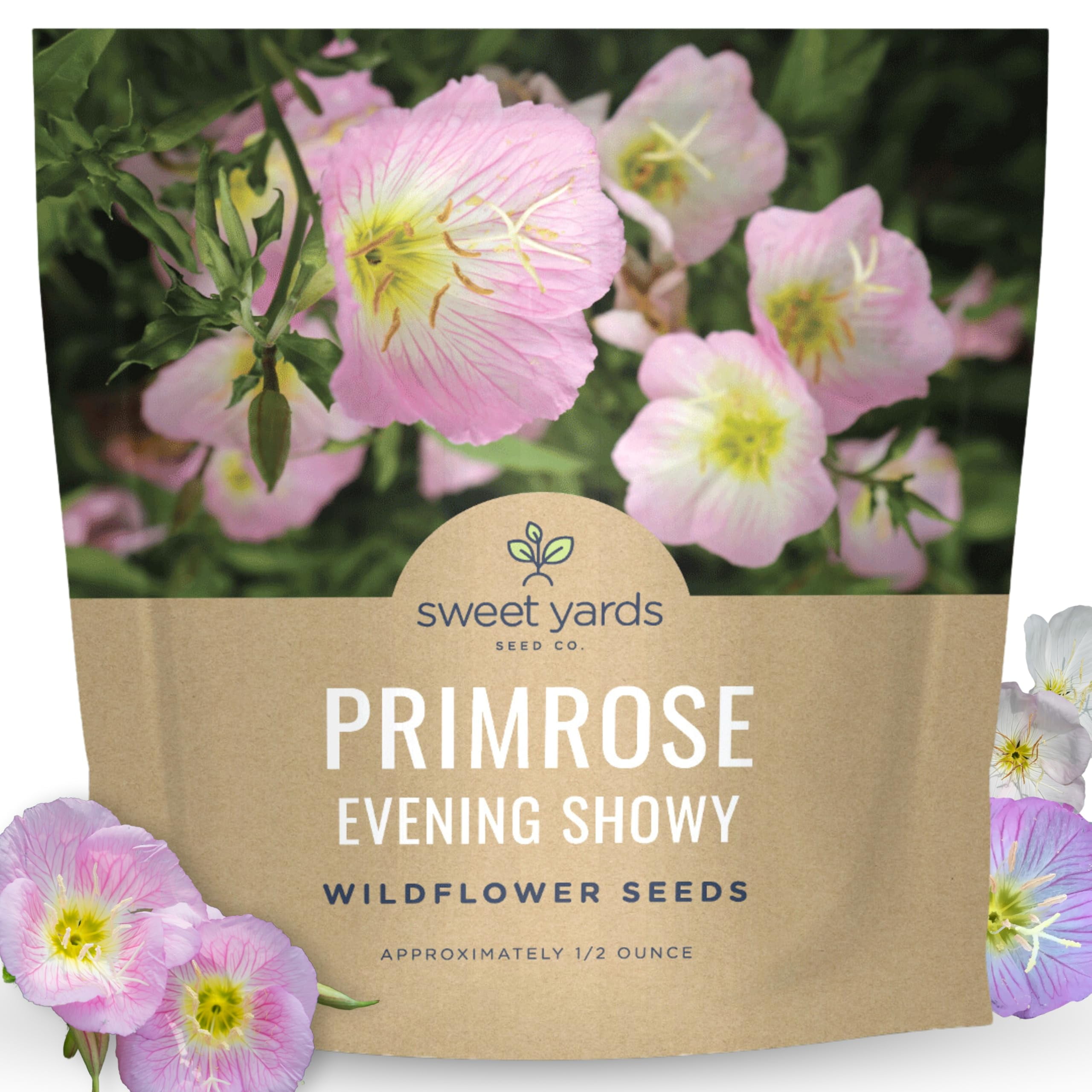 Primrose Evening Showy TWE5 - Large 1/2 Ounce Packet - 100,000 Flower ...