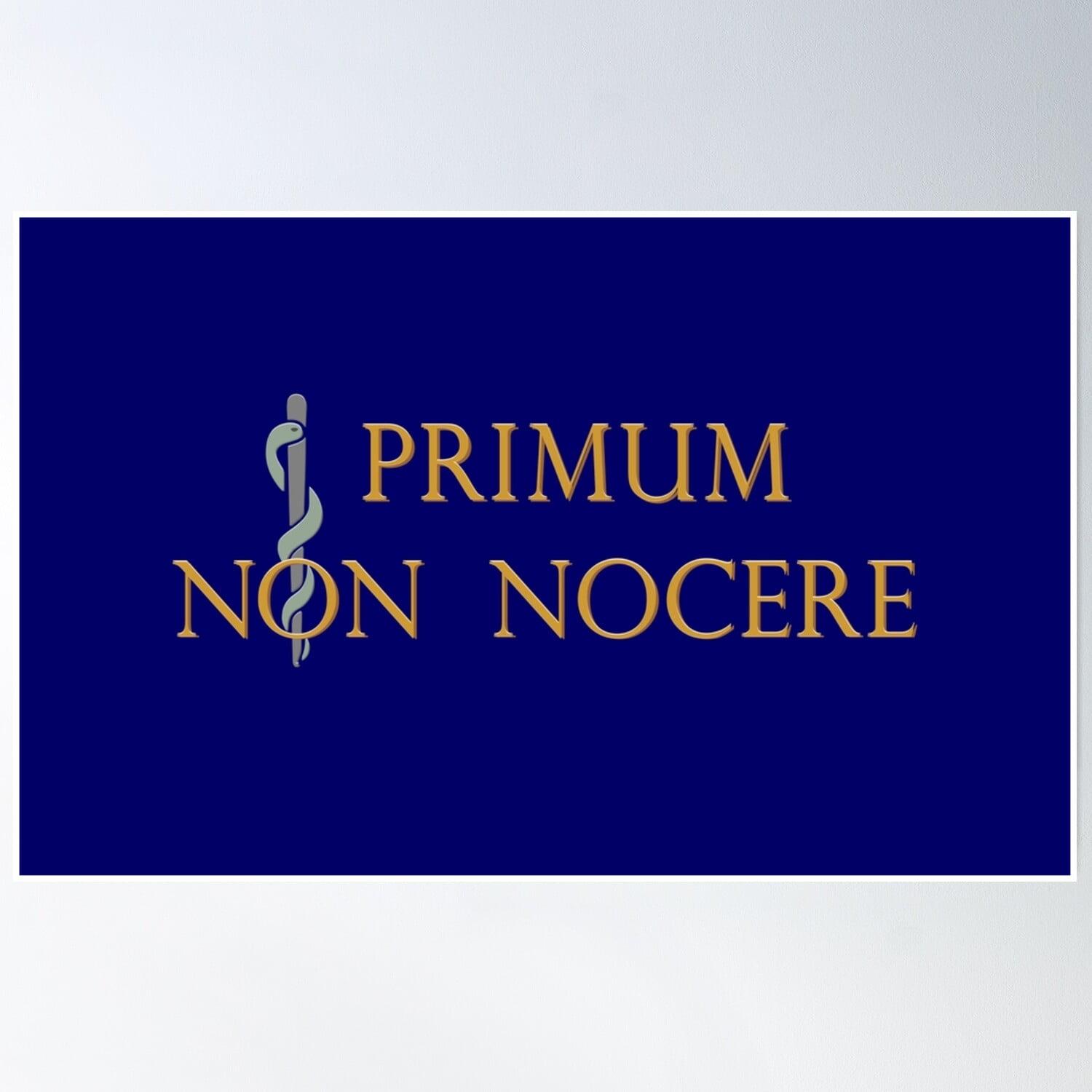 Primum Non Nocere - First, Do No Harm Poster Wall Art, Modern Wall ...