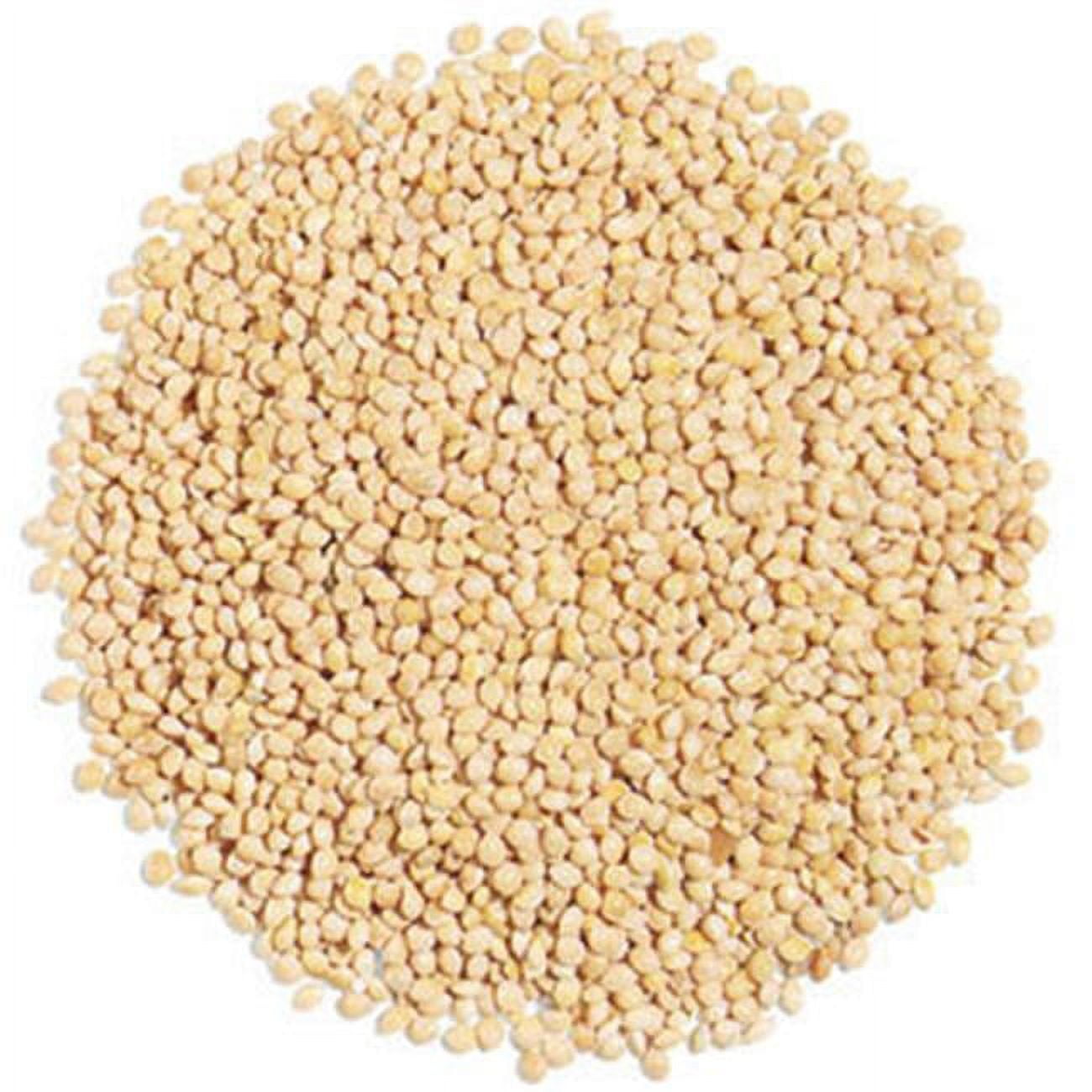 Prince 001692 White Millet Seed Food for Wild Bird Feed, 50 lbs ...