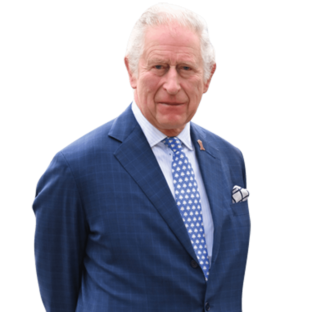 Prince Charles (Blue Suit) Half Body Buddy Cutout - Walmart.com