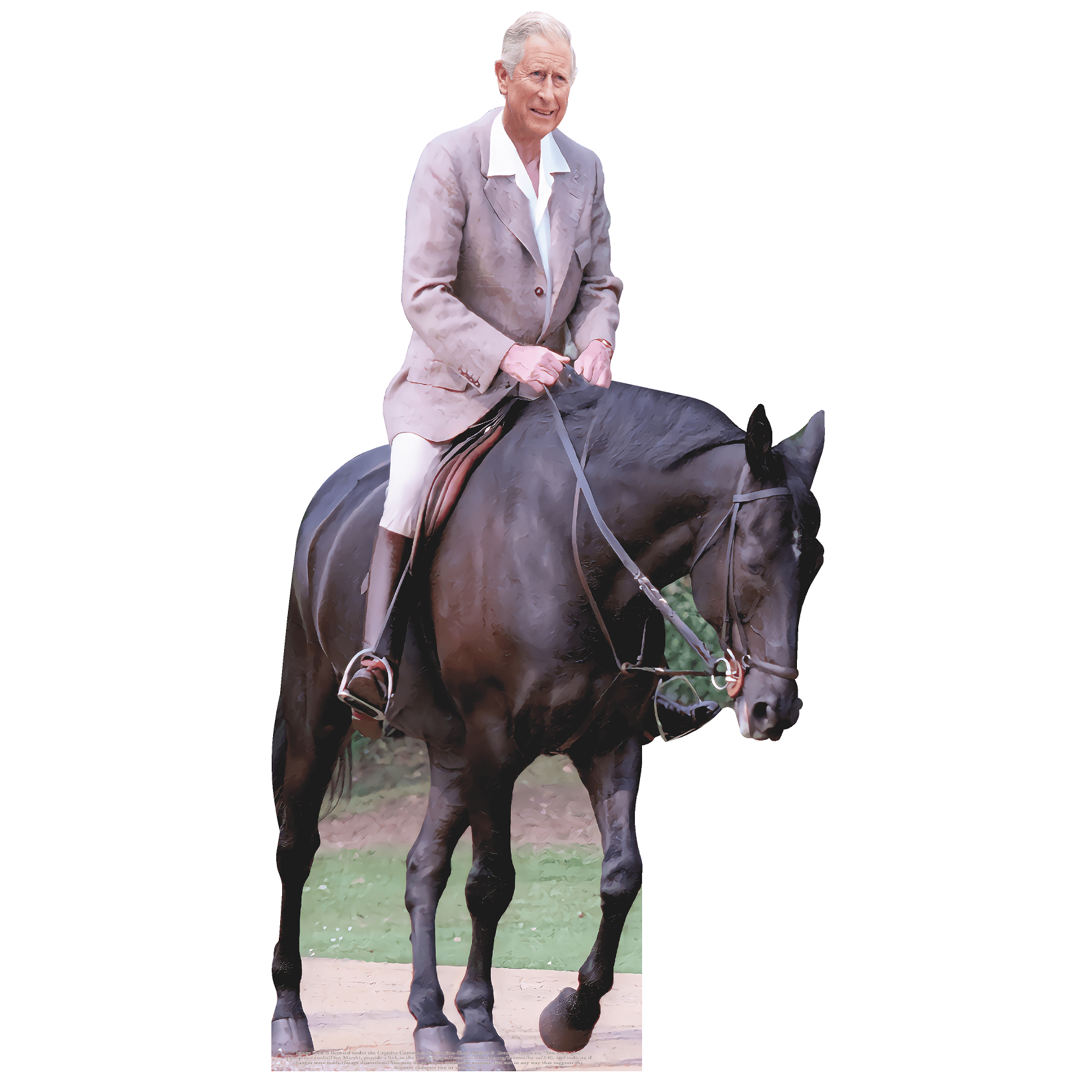 Prince King Charles III on Horse Cardboard Cutout Standee Standup ...