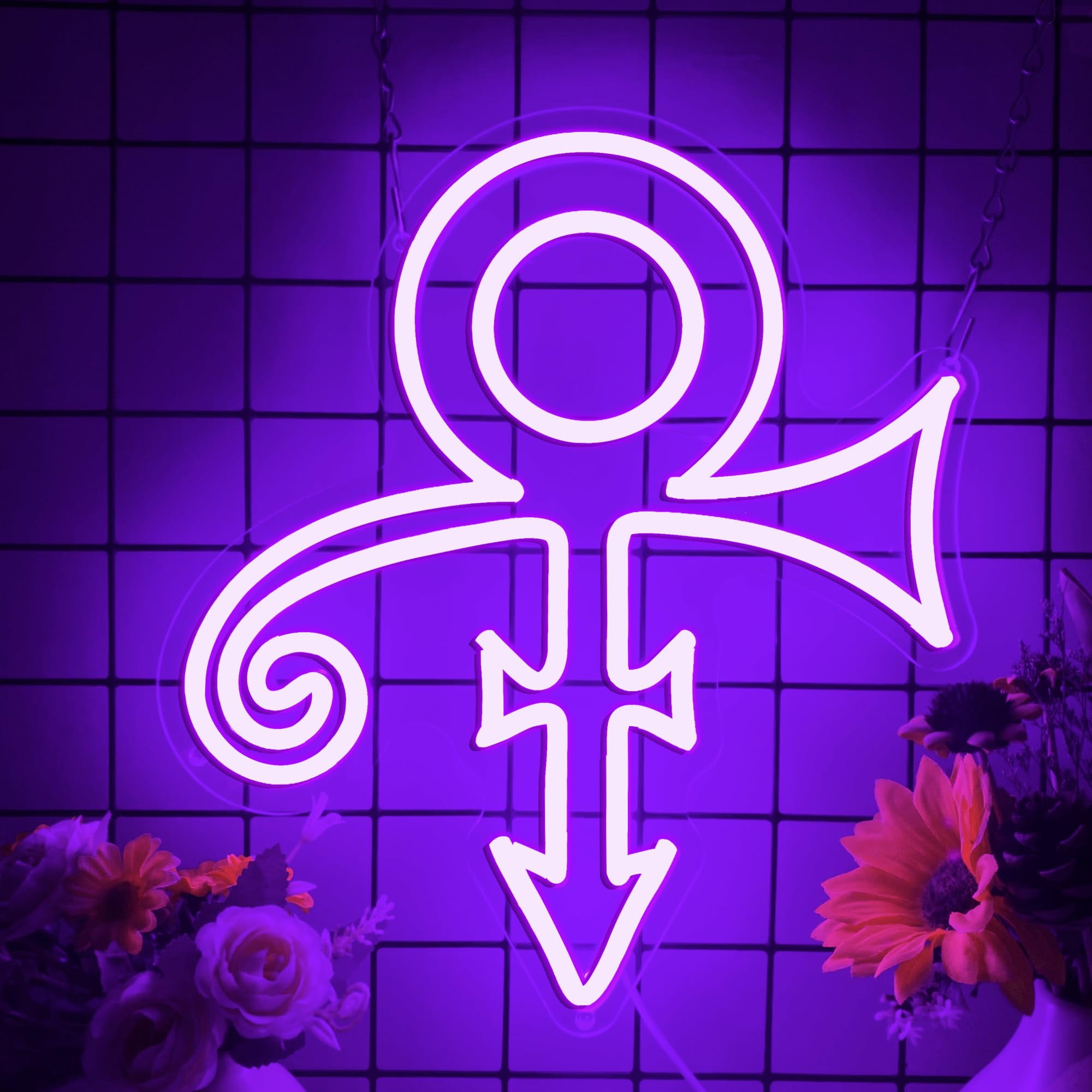 Prince Symbols