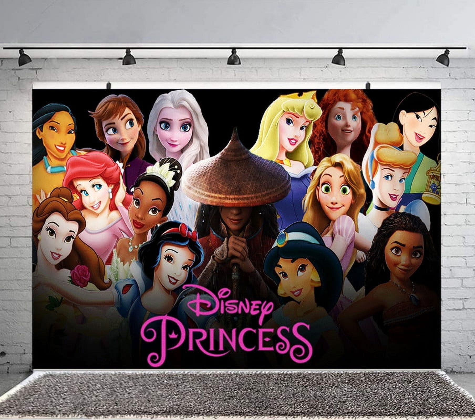 Princess Backdrop Banner Party Supplies Poster Movie Theme Background ...