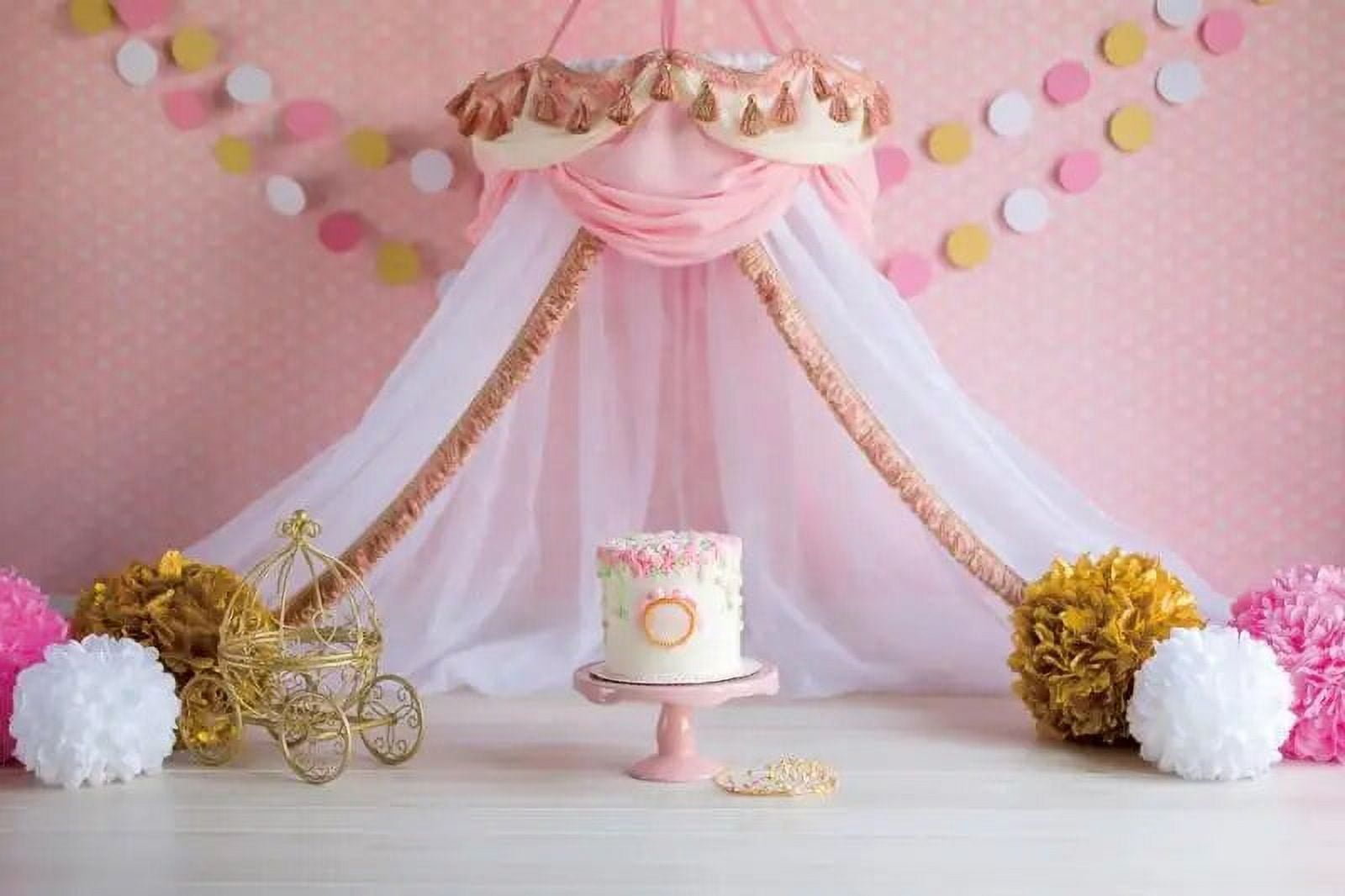 Princess Birthday Party Pink Scene Flowers Balloons Photo Background ...