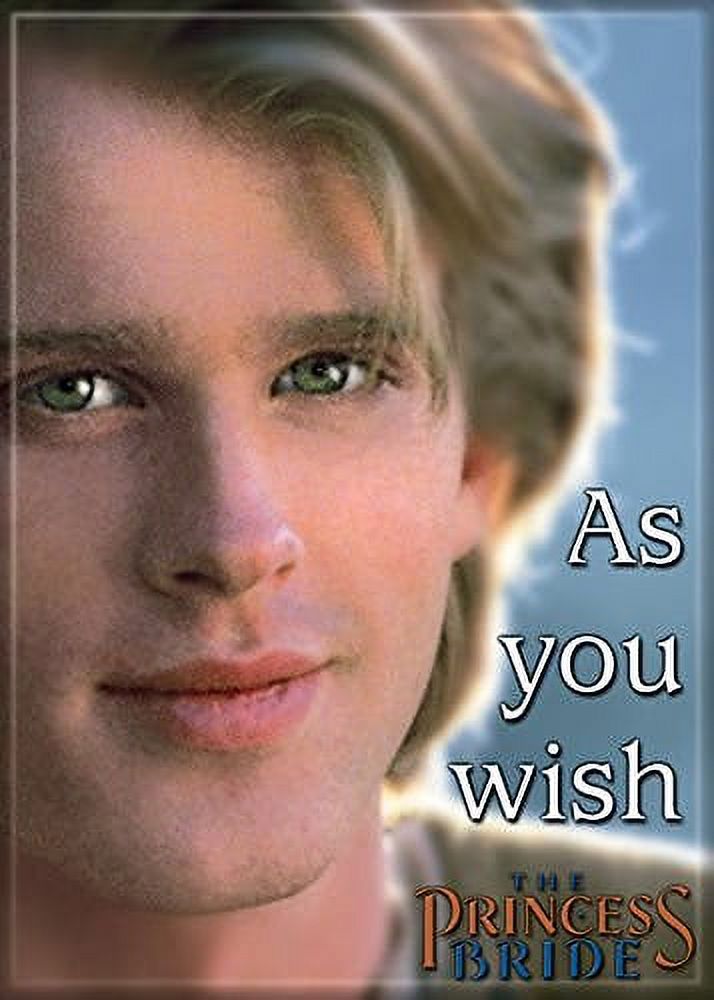 Princess Bride As You Wish Princess Bride Wesley Magnet - Walmart.com