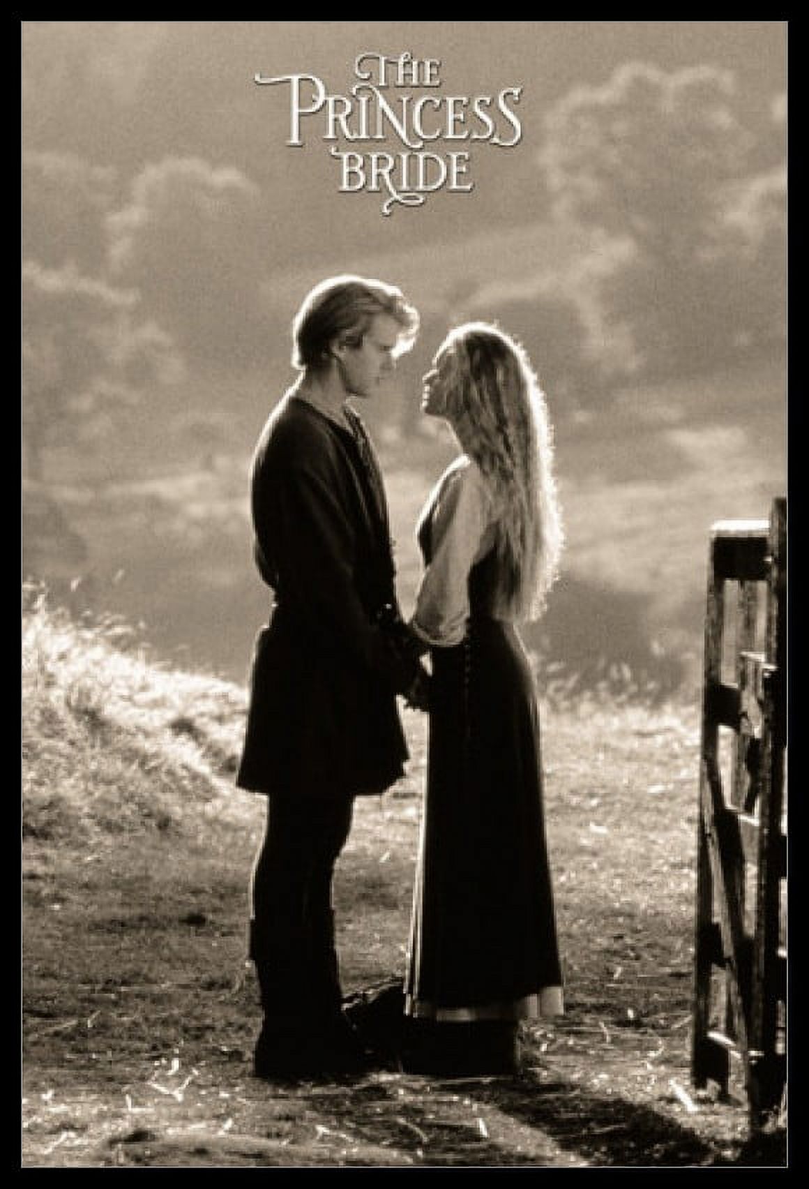 Princess Bride Movie Poster Laminated & Framed Poster (24 x 36 ...