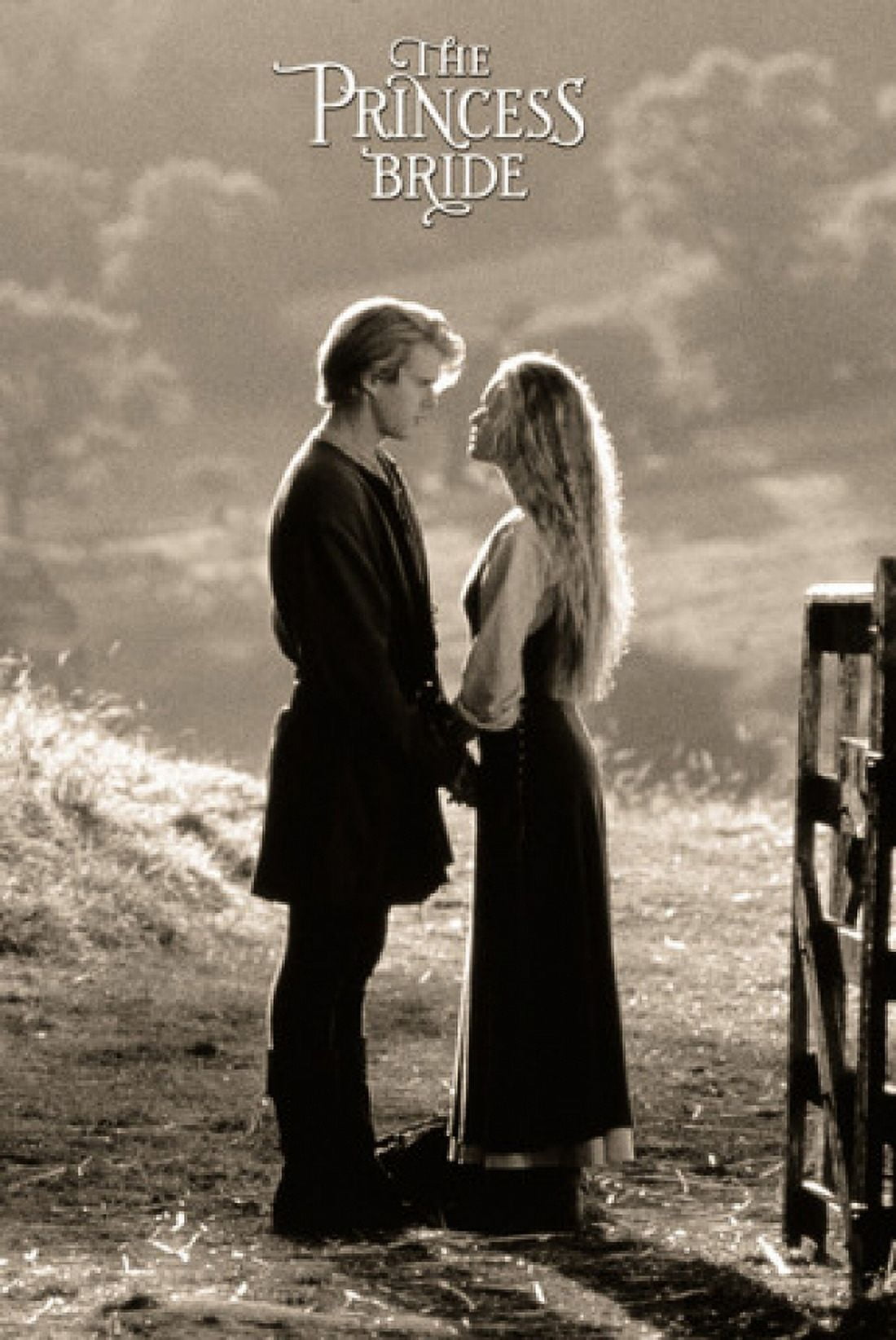 Princess Bride Movie Poster Laminated Poster (24 x 36) - Walmart.com