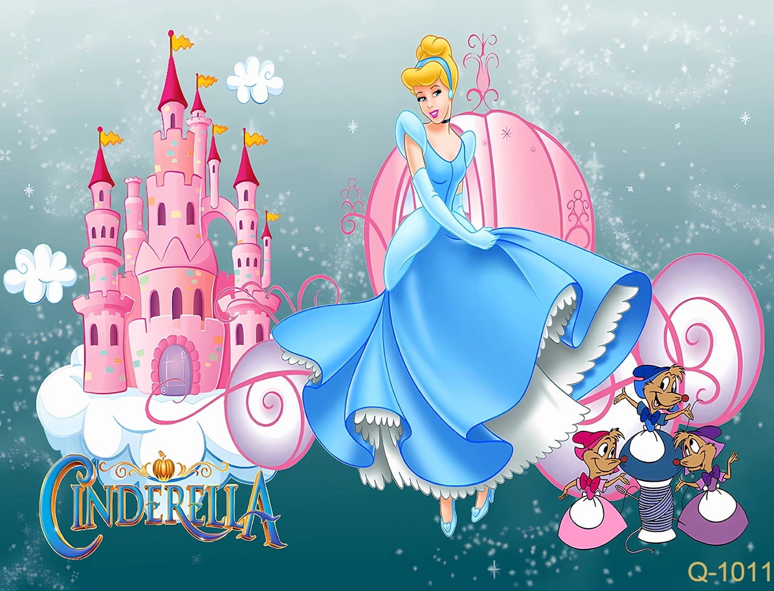 Princess Cinderella Backdrop for Birthday Party 7x5 Cinderella ...