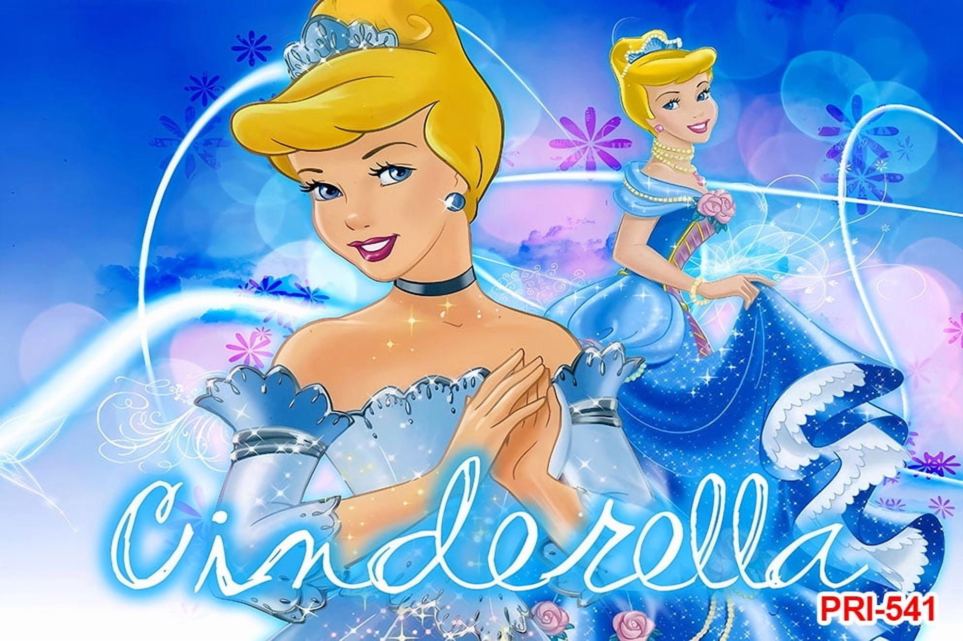 Princess Cinderella Backdrop for Birthday Party 7x5 Cinderella ...
