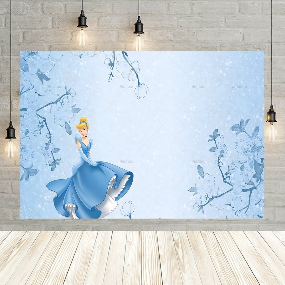 Princess Cinderella Backdrop for Birthday Party 7x5 Cinderella ...