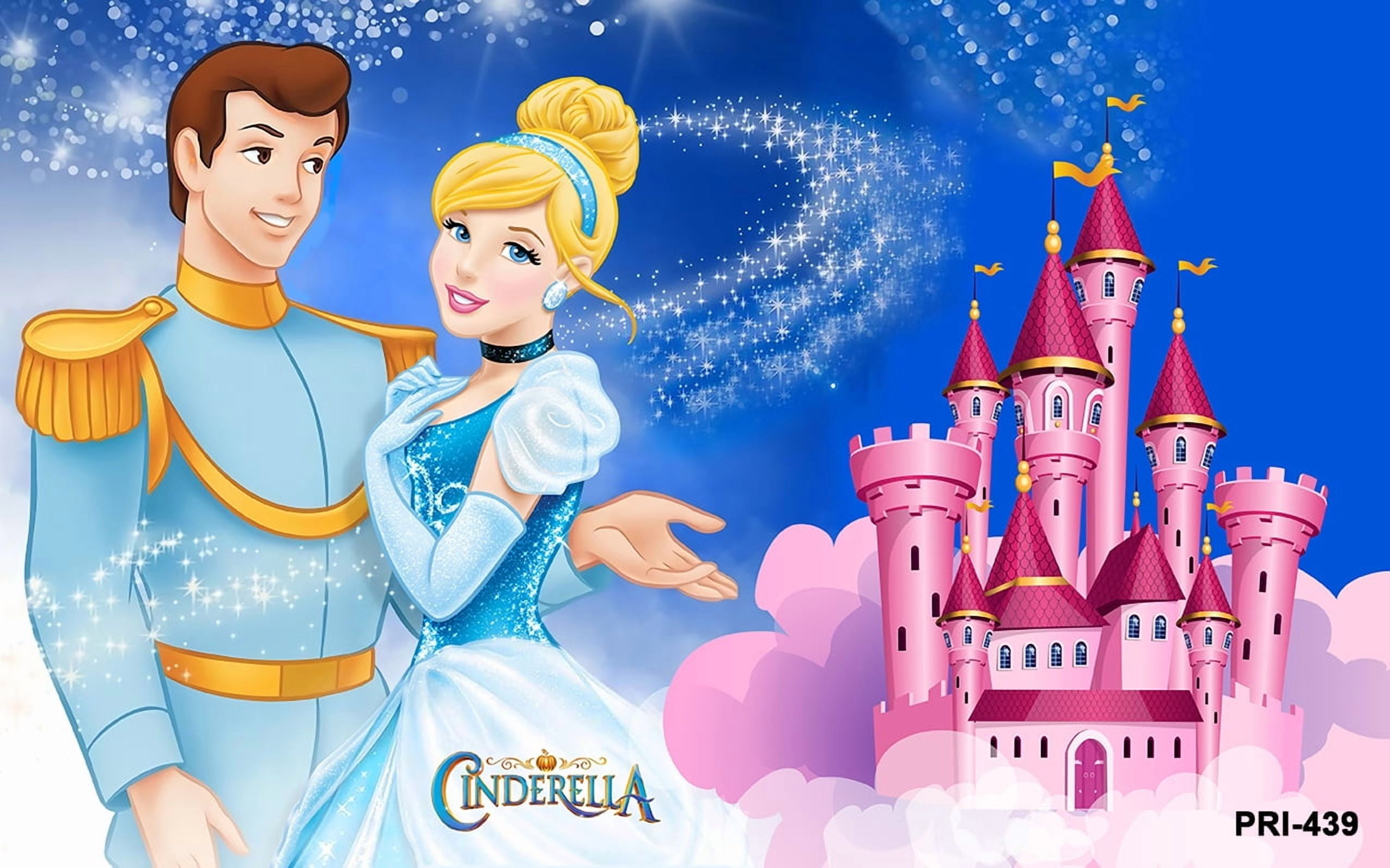 Princess Cinderella Backdrop for Birthday Party 7x5 Cinderella ...