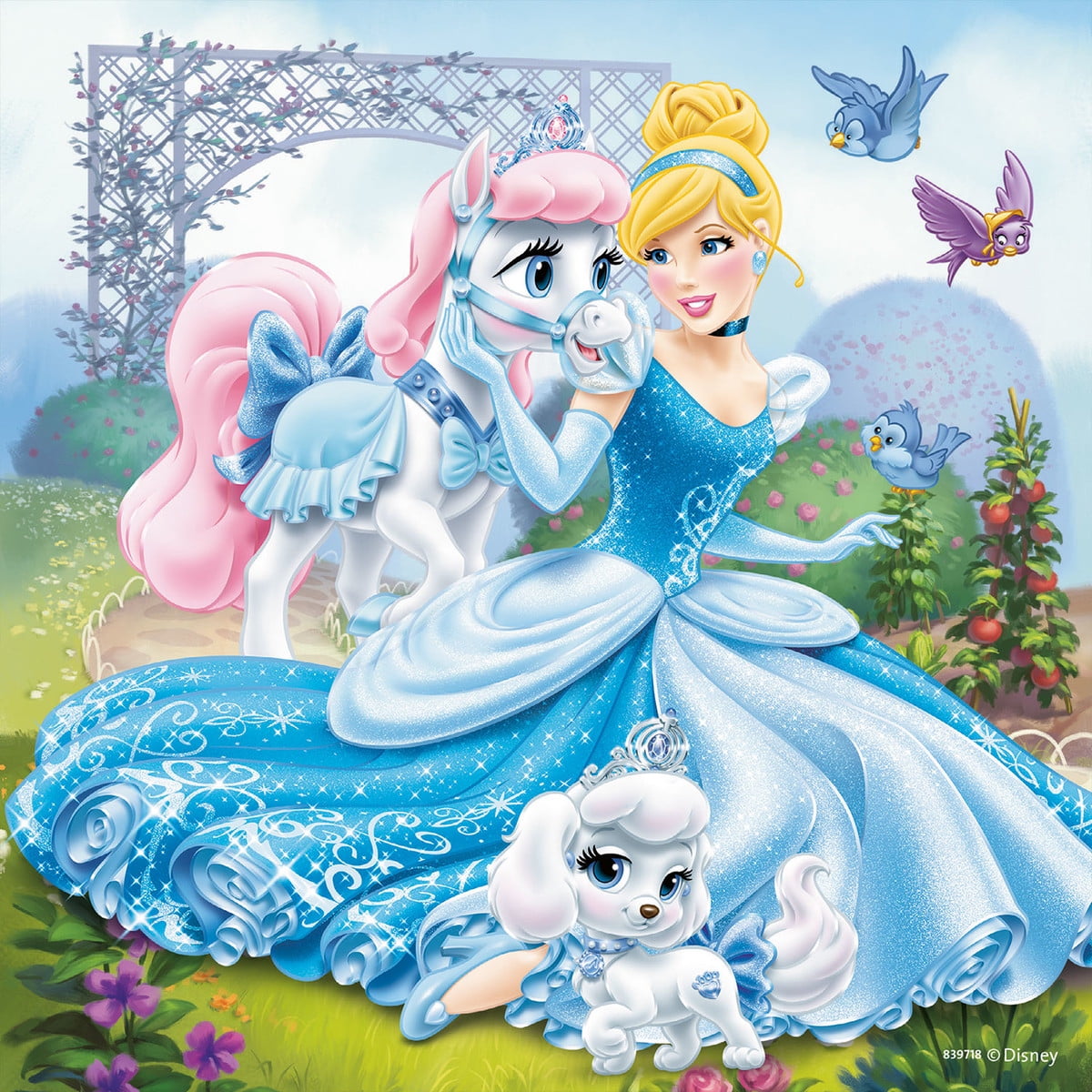 Princess Cinderella Backdrop for Birthday Party 7x5 Cinderella ...
