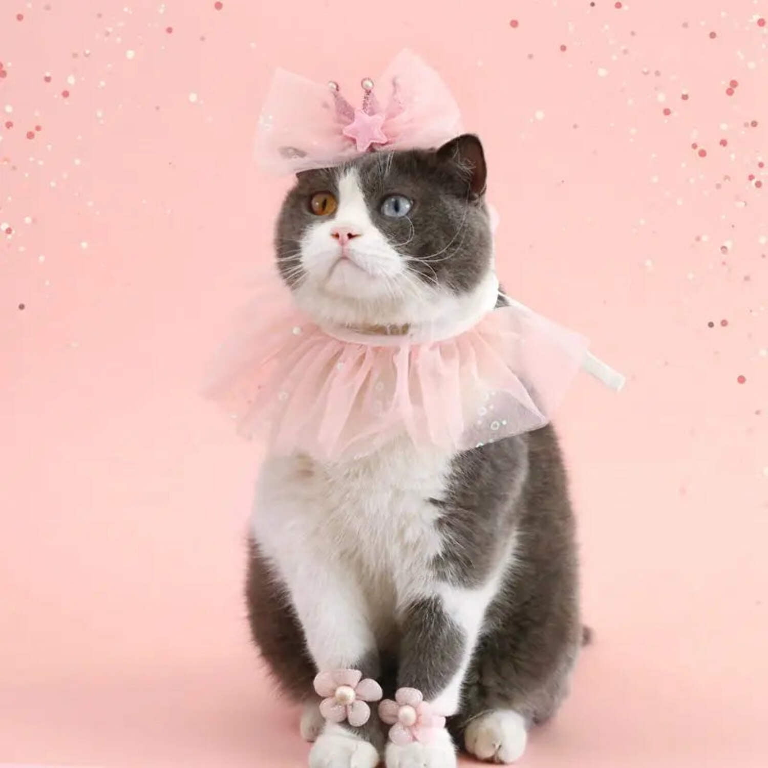 Princess Crown Veil for Cats Dogs - Bridal Headdress - Walmart.com