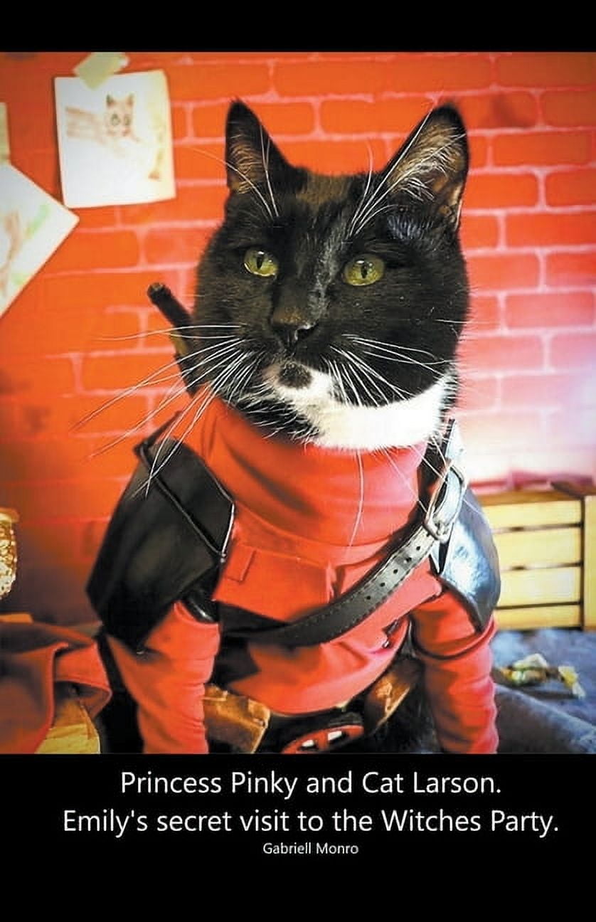 Princess Pinky and Cat Larson. Emily's secret visit to the Witches ...