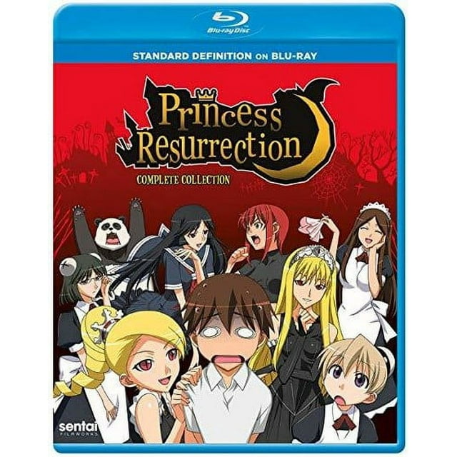 Princess Resurrection (Blu-ray), Sentai, Anime - Walmart.com