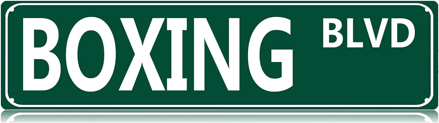 Princess St Metal Street Tin Sign Funny Vintage Slim Tin Signs 16 x 4 ...