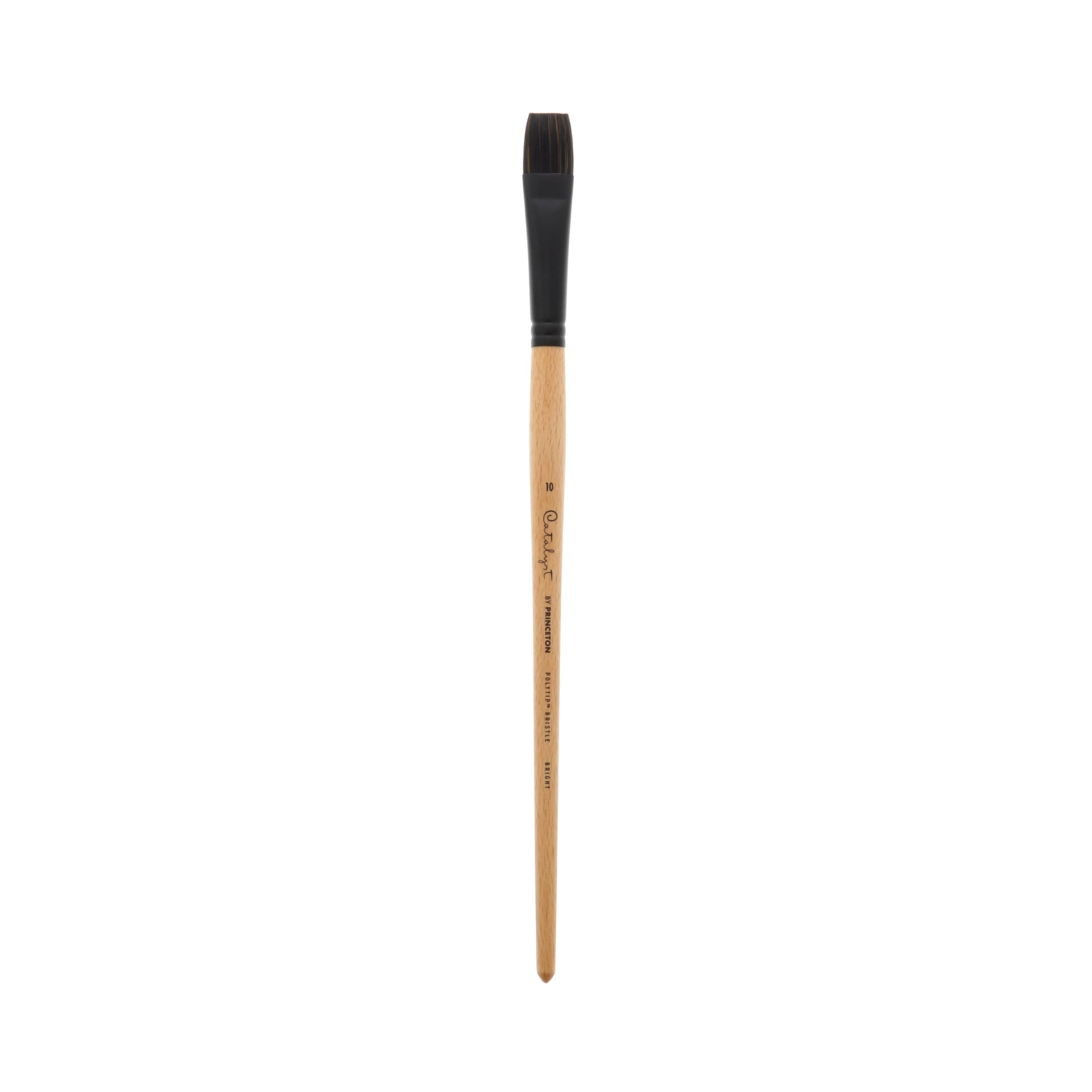 Princeton Brush Catalyst Polytip Long Handle Bristle Brush, Bright, 10 ...