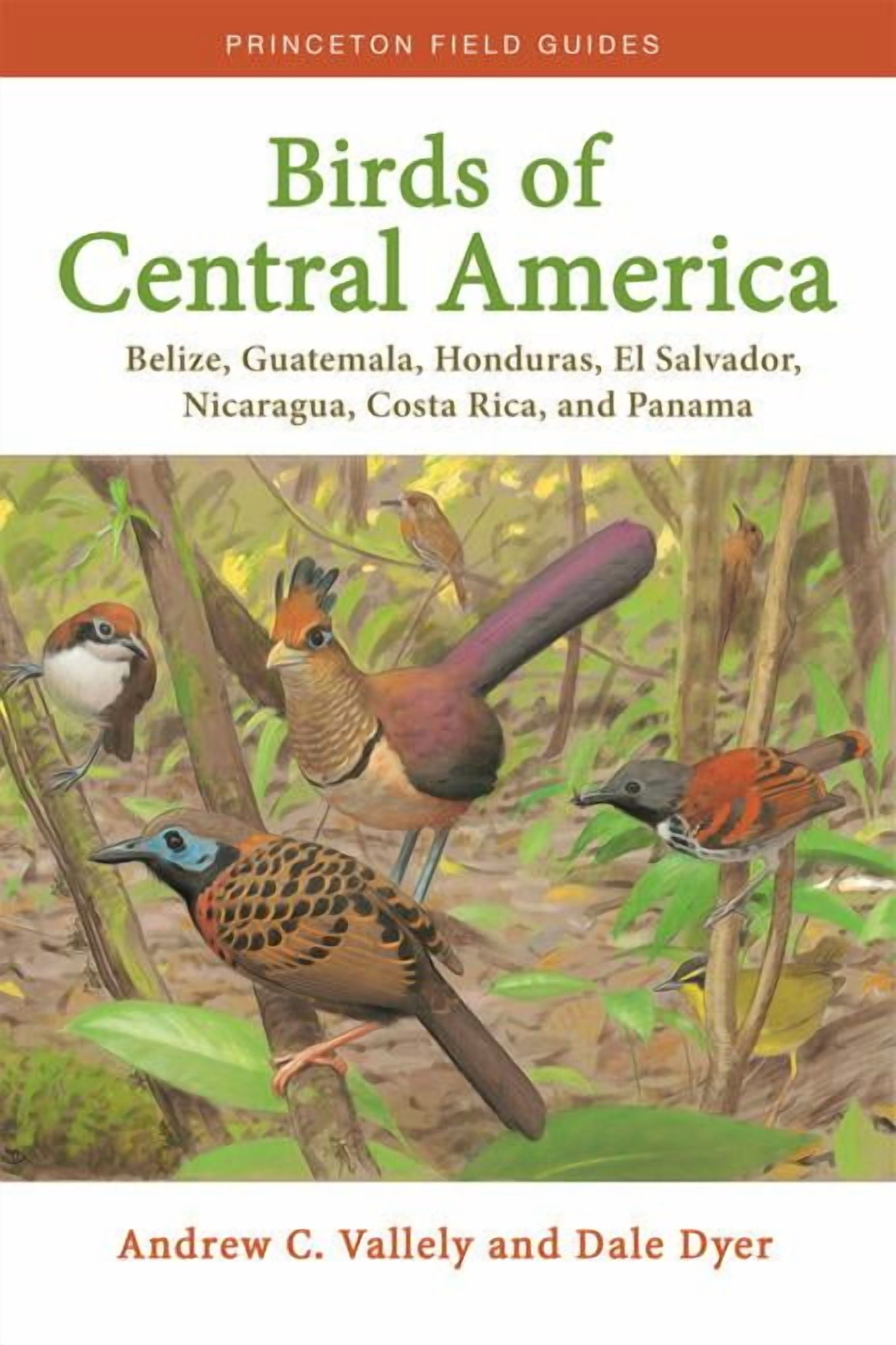 Princeton Field Guides Birds of Central America: Belize, Guatemala ...