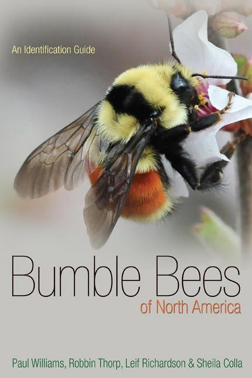 Princeton Field Guides Bumble Bees of North America: An Identification ...