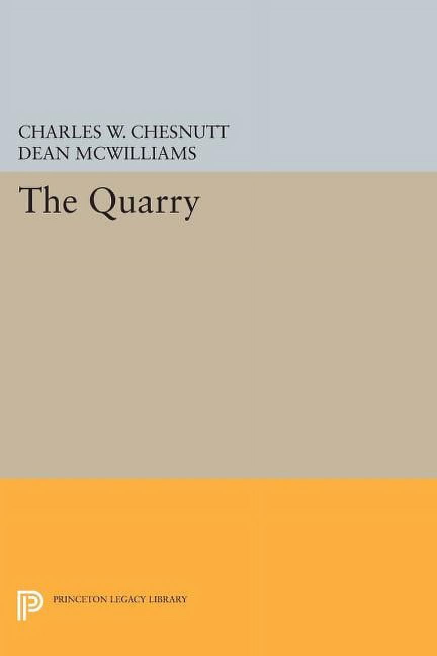 Princeton Legacy Library The Quarry, Book 70, (Paperback) - Walmart.com
