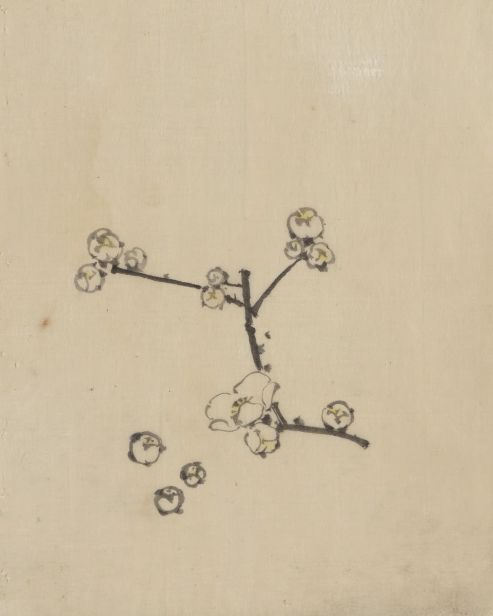 Print: A Tree Branch With Blossoms, circa 1830 - Walmart.com