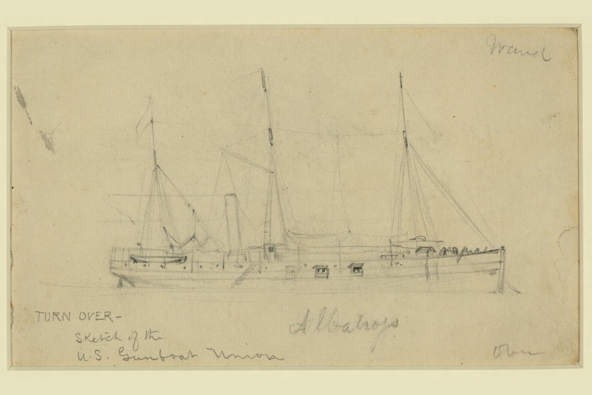 Print: Albatross, circa 1860 - Walmart.com