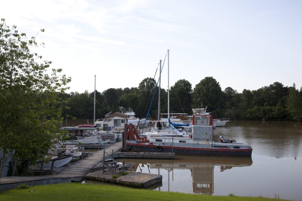 Print: Boats At A Marina At The Tom Bevill Lock And Dam On The ...