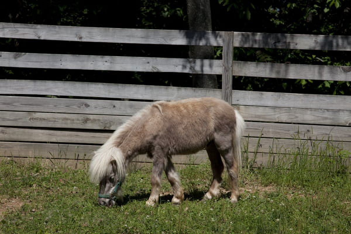 Print: Burritt On The Mountain, A Living Museum And Historic Park ...