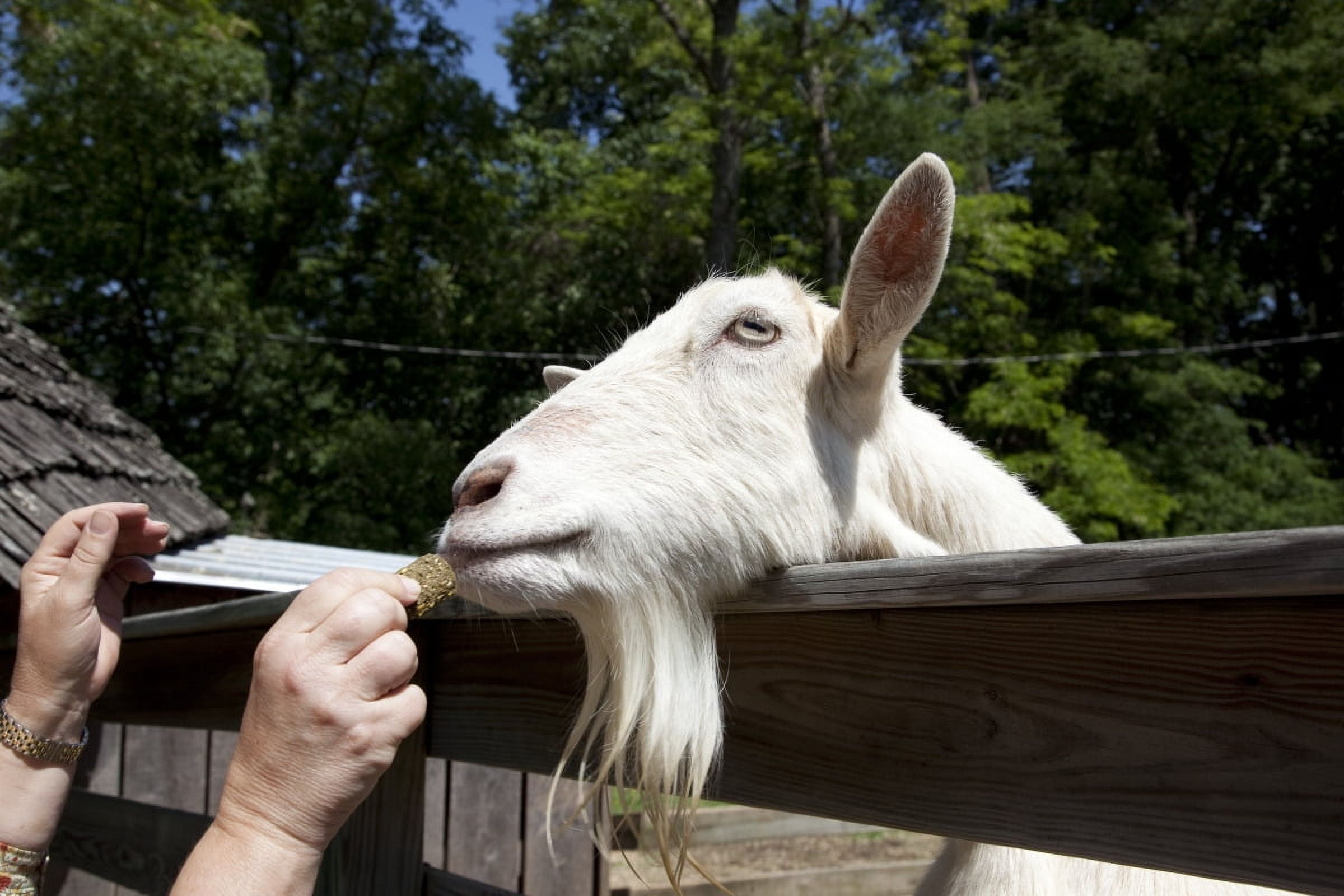 Print: Burritt On The Mountain, A Living Museum And Historic Park ...