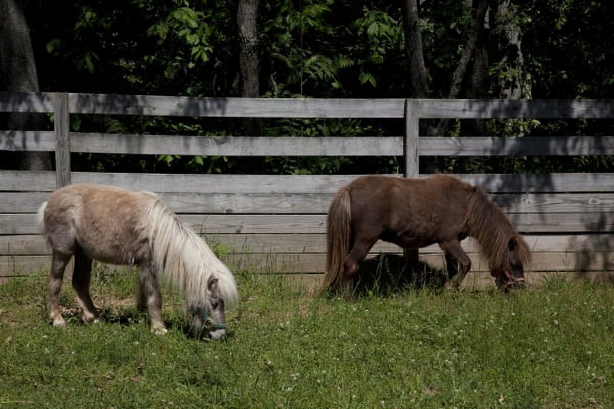 Print: Burritt On The Mountain, A Living Museum And Historic Park ...